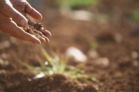 The Dirt on Improving Your Soil | Espoma Organic