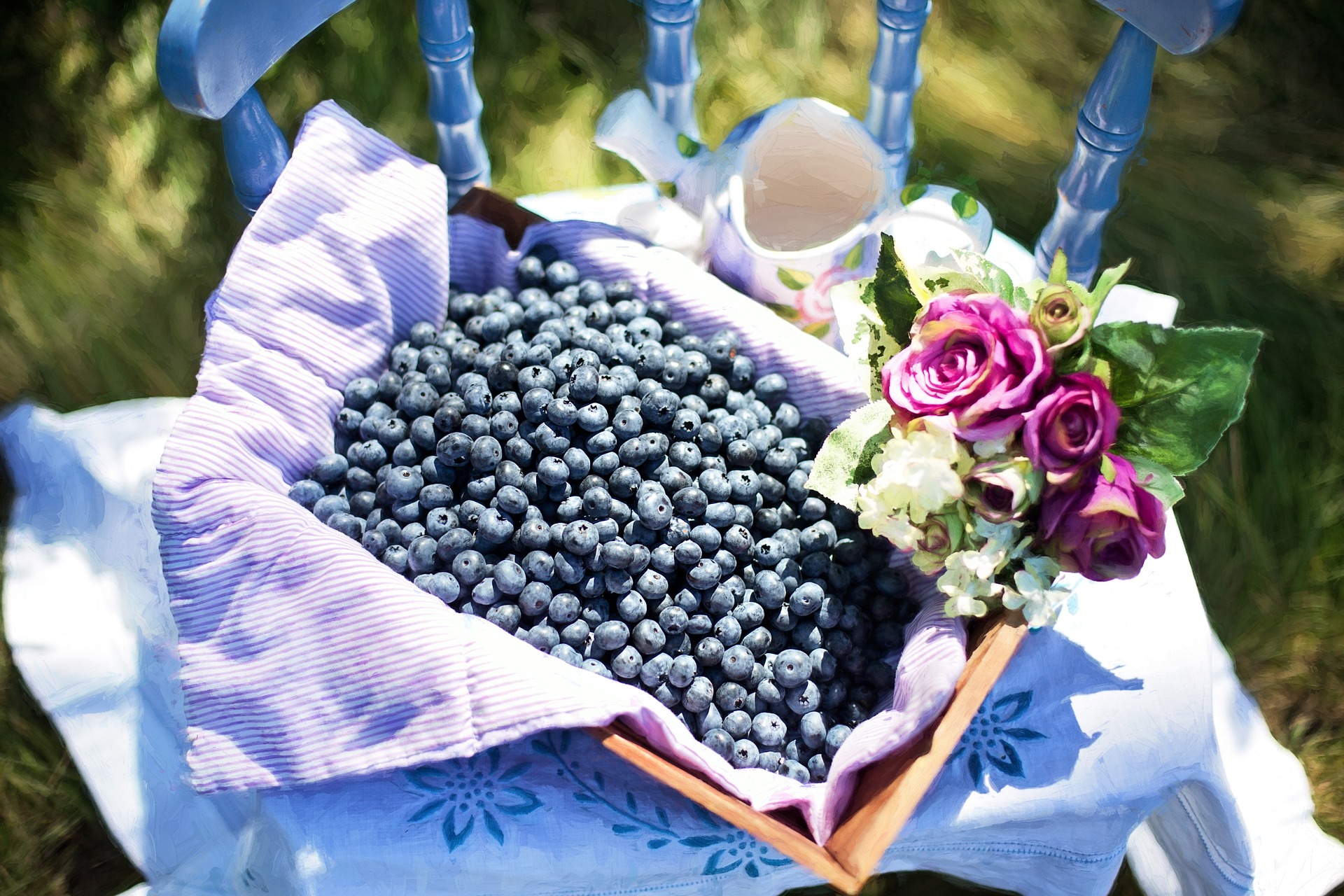 Blueberry Basics: Know What to Grow | Espoma Organic
