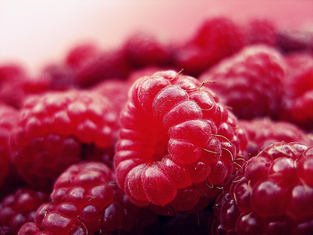 Seeing Red: Raspberries in the Garden | Espoma Organic