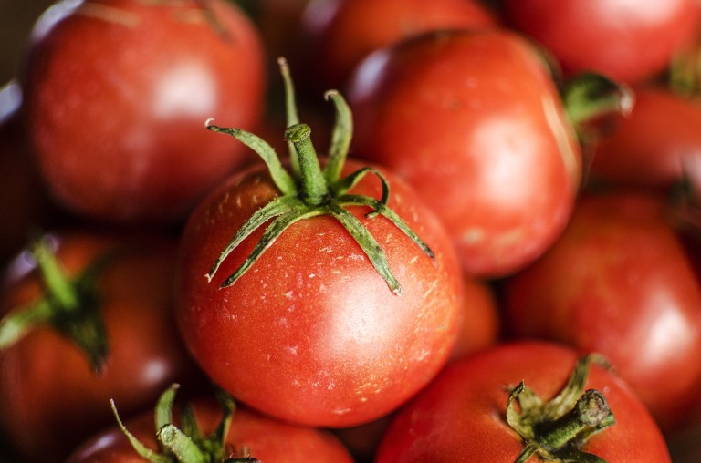 Simple Steps for Planting Tomatoes | Espoma Organic