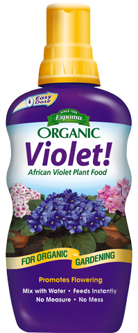Boost African Violets by Repotting | Espoma Organic