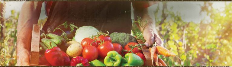 Espoma Organic Fertilizer & Potting Soil | Espoma Organic