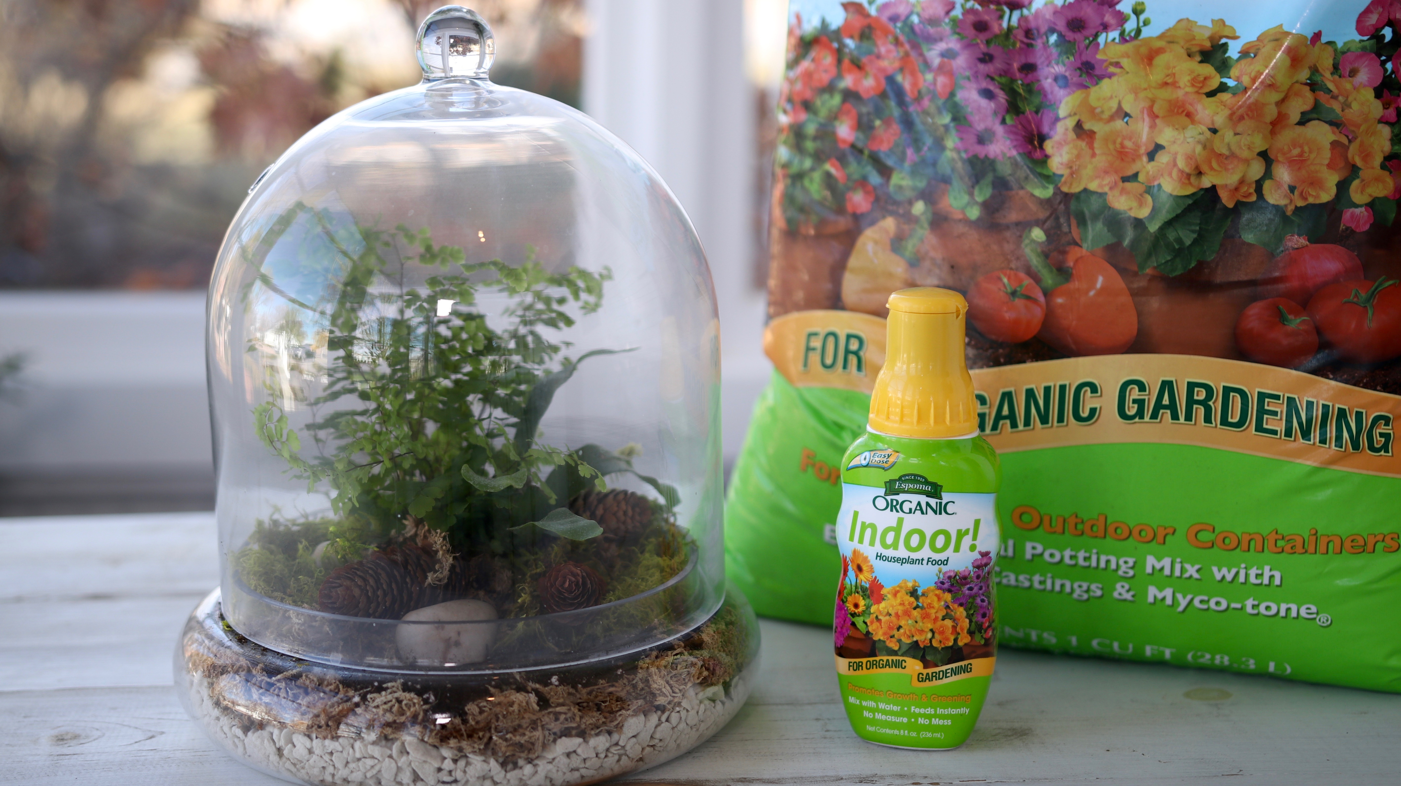 Everything Old Can Be New Again with Terrariums | Espoma Organic