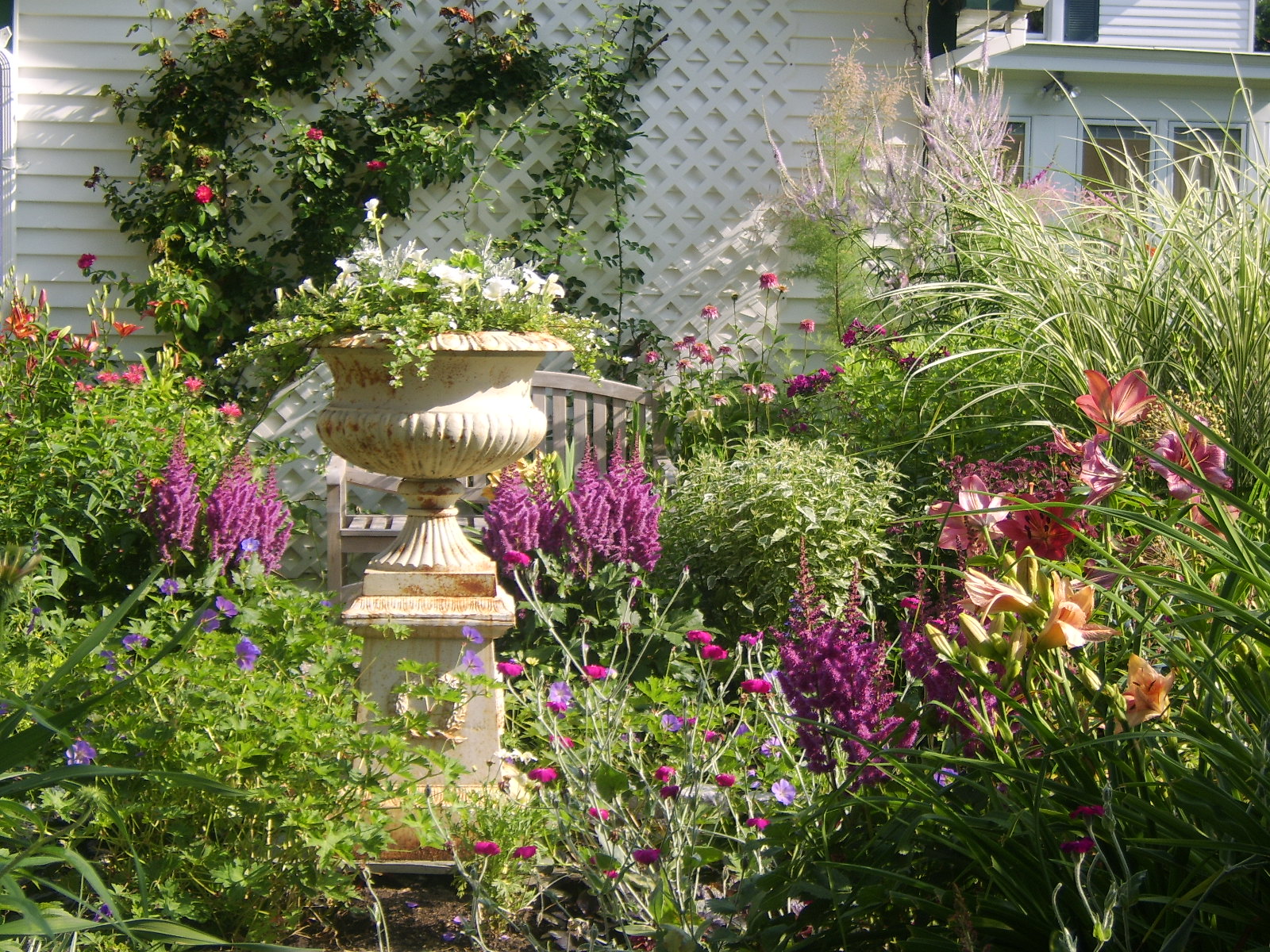 How to Grow Awesome Astilbe | Espoma Organic