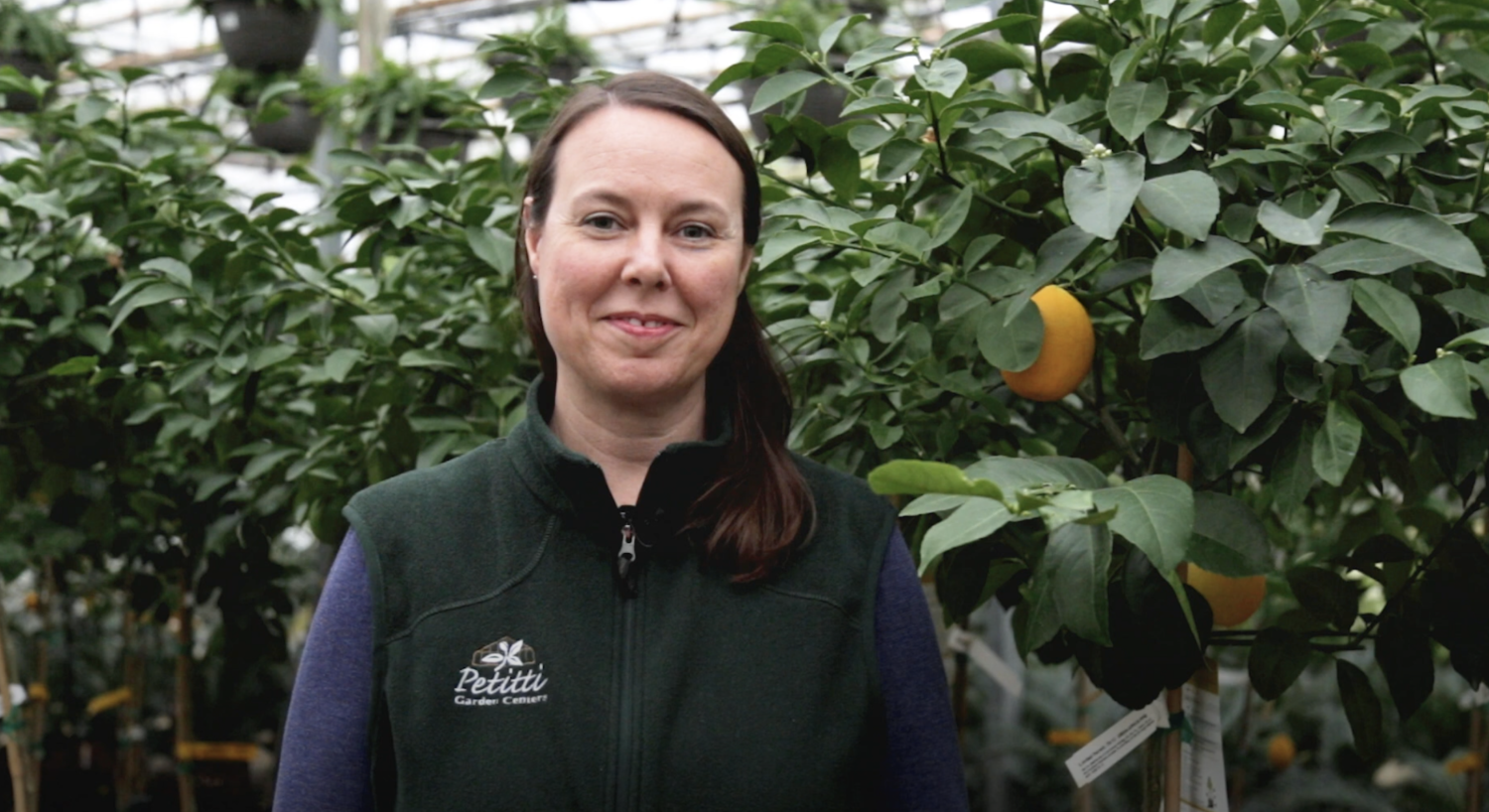 Espoma | Espoma Organic Holly-tone Organic Fertilizer | Espoma