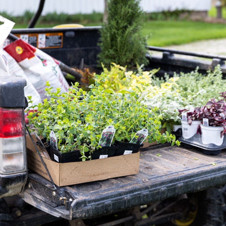 Espoma | Potting Soil Mix by Espoma Organic | Espoma