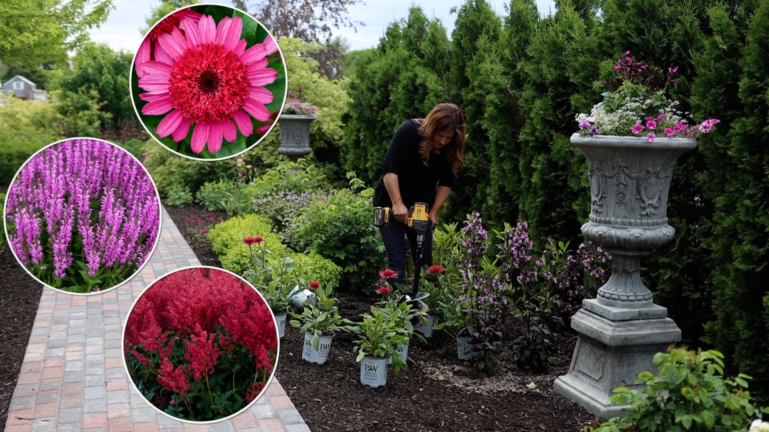 Espoma | Espoma Organic Biotone Starter Plus Organic Fertilizer | Espoma