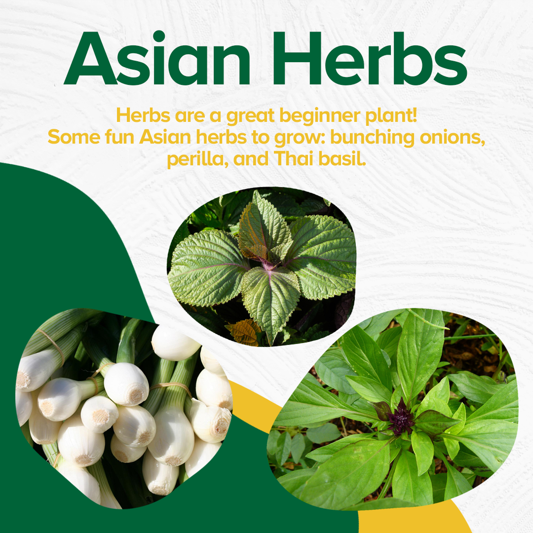 Preserving Asian Heritage Through Seeds and Stories | Espoma Organic