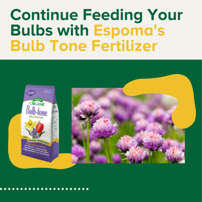 BAGR Episode 150 Blog: All the Bulb Basics You Need | Espoma Organic