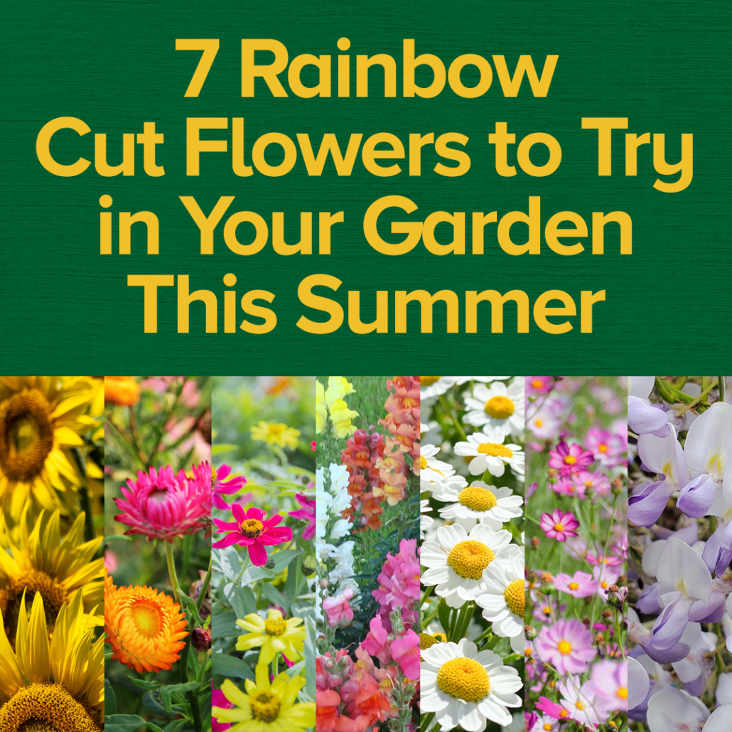 Espoma Organic Flower-tone Organic Fertilizer | Espoma Organic