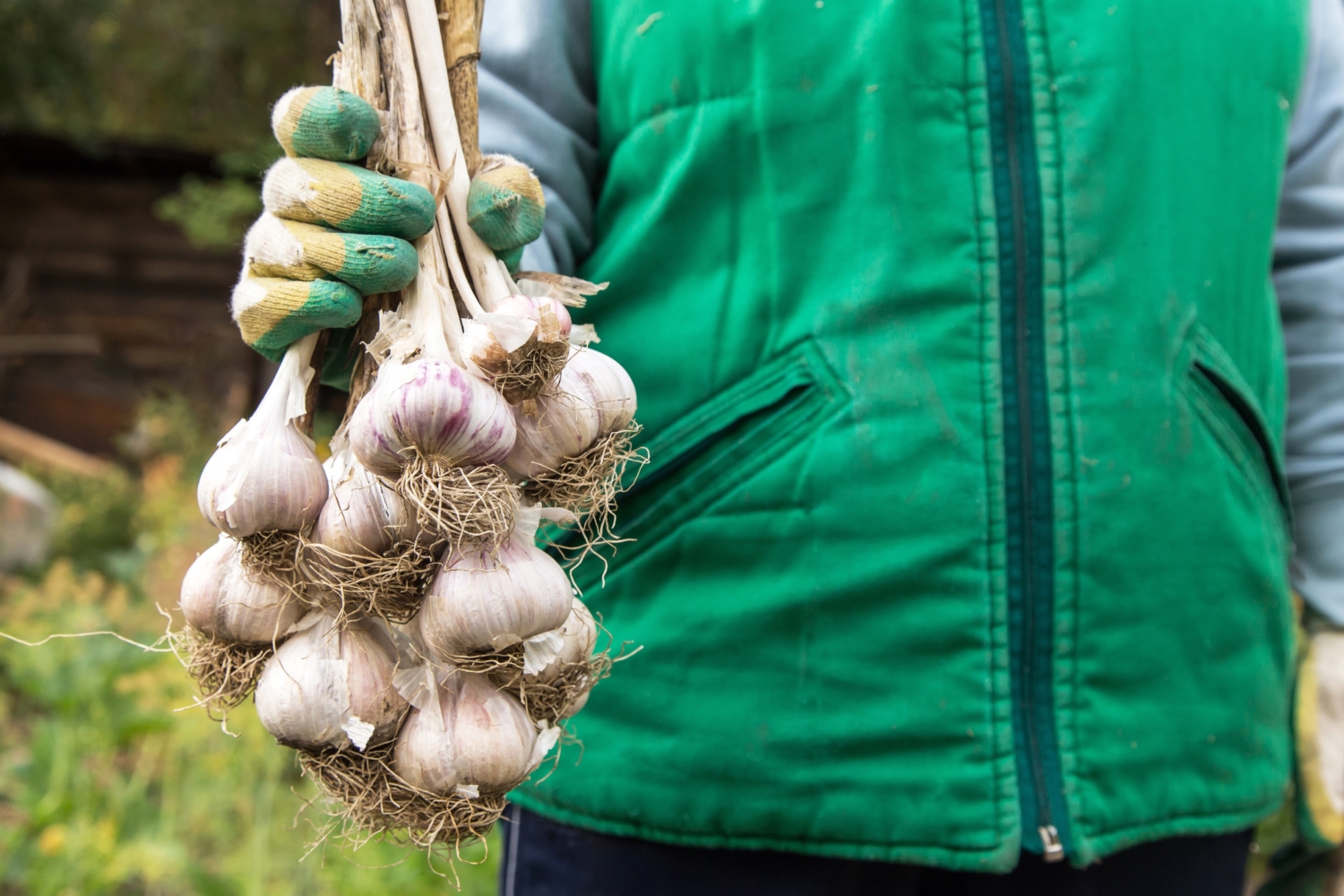 8 Terror-ific Plants to Spookify your Home & Garden for Halloween ...