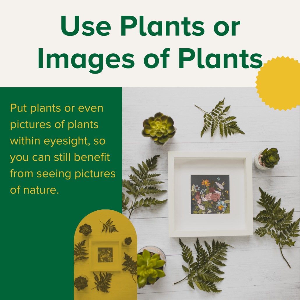 Espoma | BAGR 113 Blog: How to Green Up Your Living Space – Make House Cool