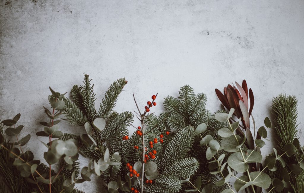 Plant-Centric Picks for Decking Your Halls This Season - Espoma Organic