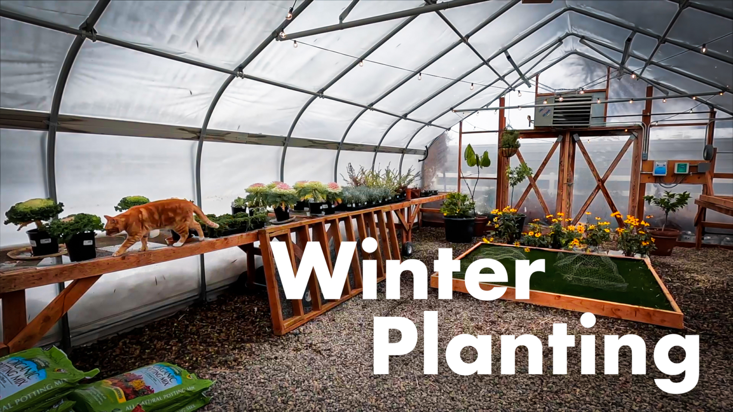 Potting Soil Mix by Espoma Organic | Espoma