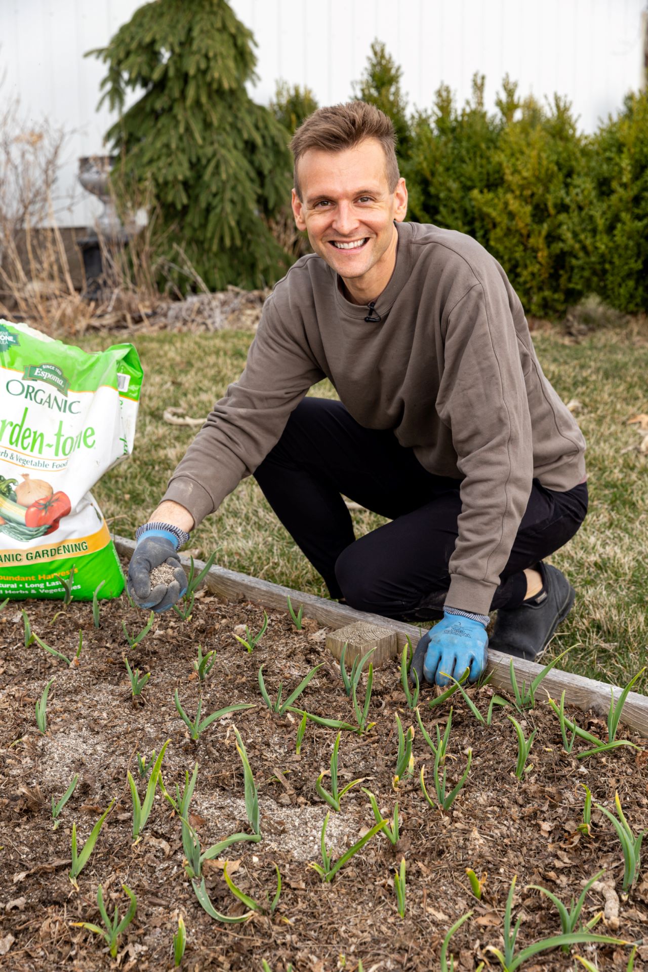 VIDEO: How to Fertilize Garlic ? || Wyse Guide | Espoma Organic