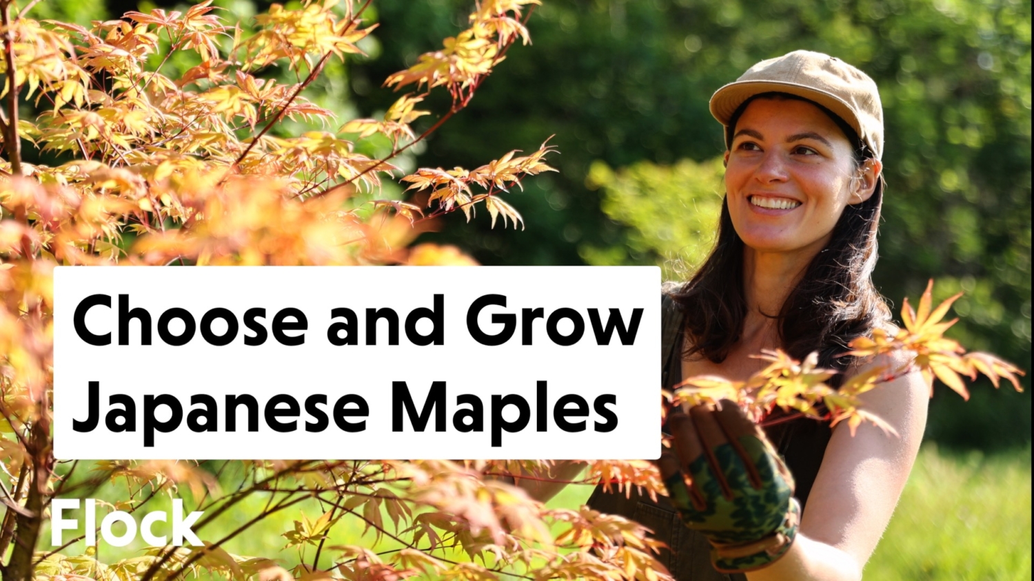 Espoma Organic Biotone Starter Plus Organic Fertilizer | Espoma