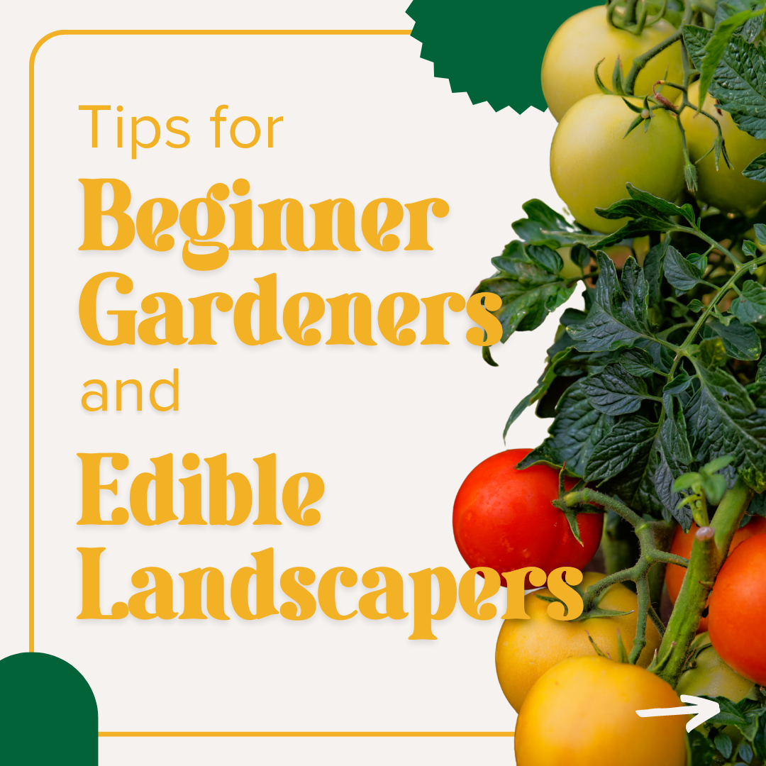 Espoma Organic Bulb-tone Organic Fertilizer | Espoma Organic