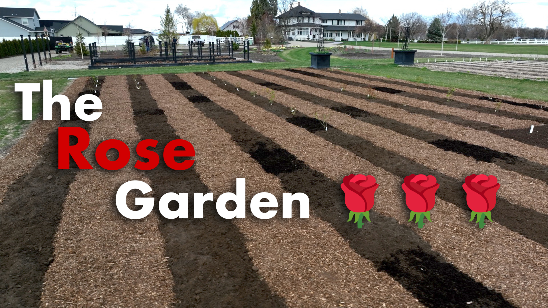 VIDEO: Planting an Epic Rose Garden ??? // Garden Answer - Espoma Organic