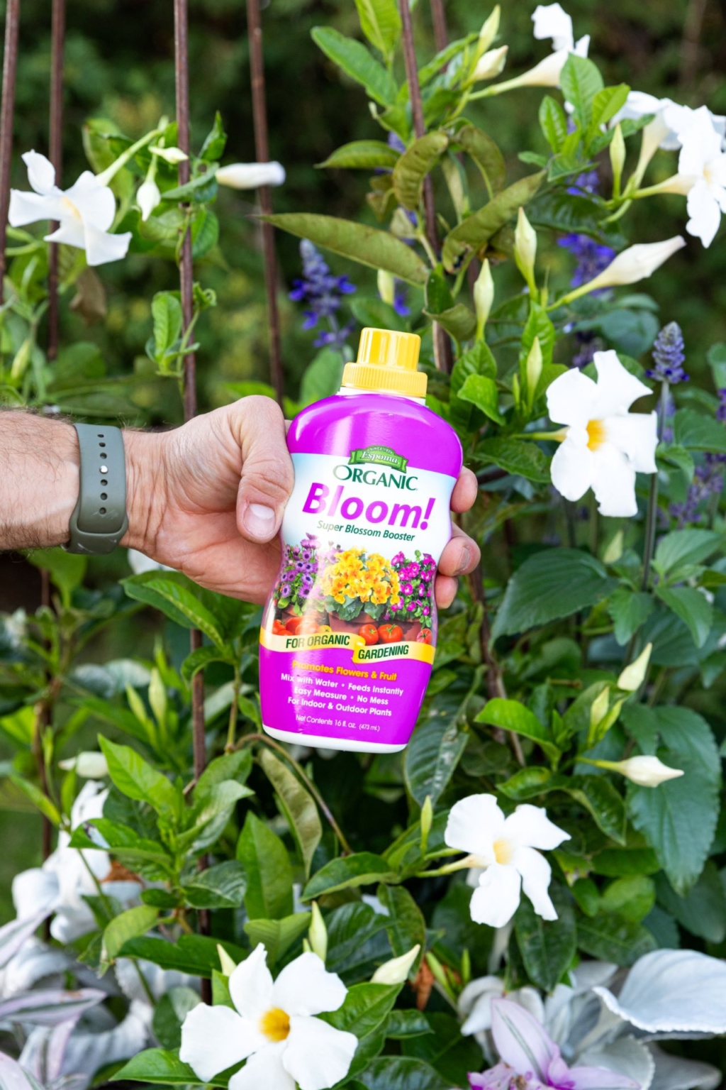 Bloom! Organic Fertilizer & Blossom Booster | Espoma Organic