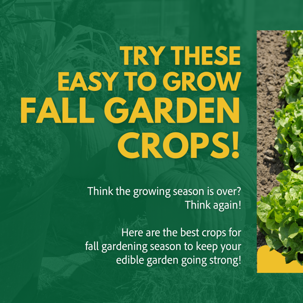 Espoma Organic Biotone Starter Plus Organic Fertilizer | Espoma