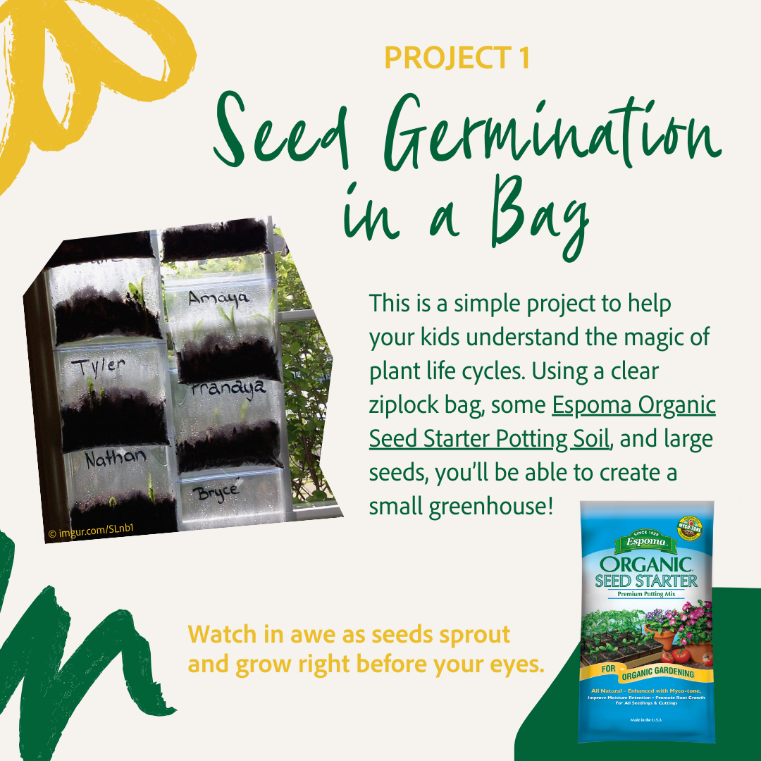Growing Joy with Maria: Plant Projects for Kids | Espoma Organic