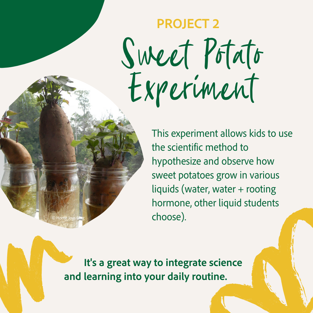 Growing Joy with Maria: Plant Projects for Kids | Espoma Organic