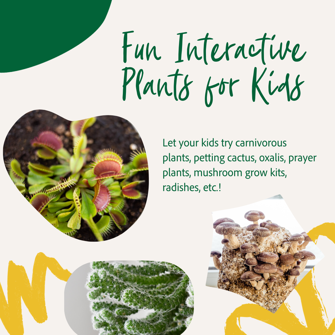 Growing Joy with Maria: Plant Projects for Kids | Espoma Organic