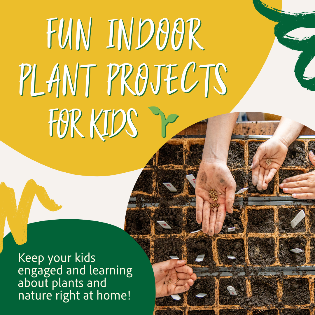 Growing Joy with Maria: Plant Projects for Kids | Espoma Organic