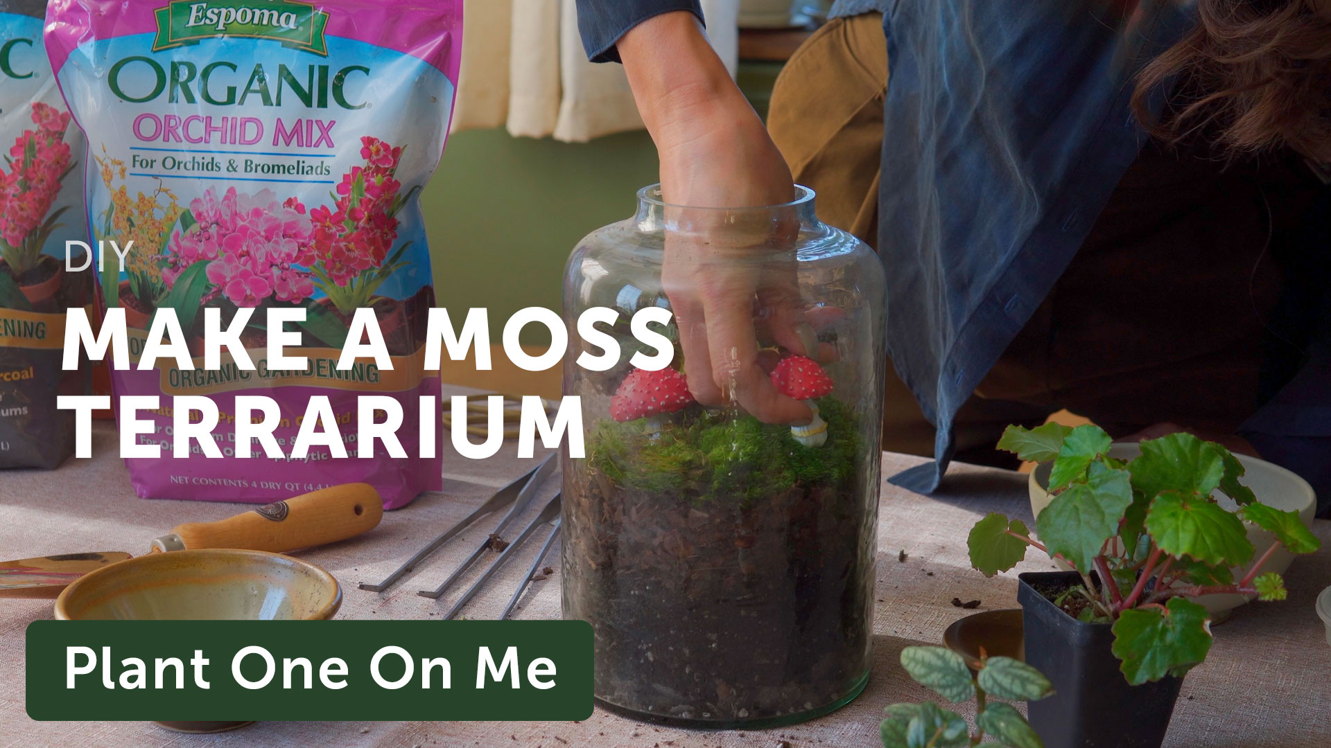VIDEO: Create a Moss Terrarium with Summer Rayne Oakes | Espoma Organic