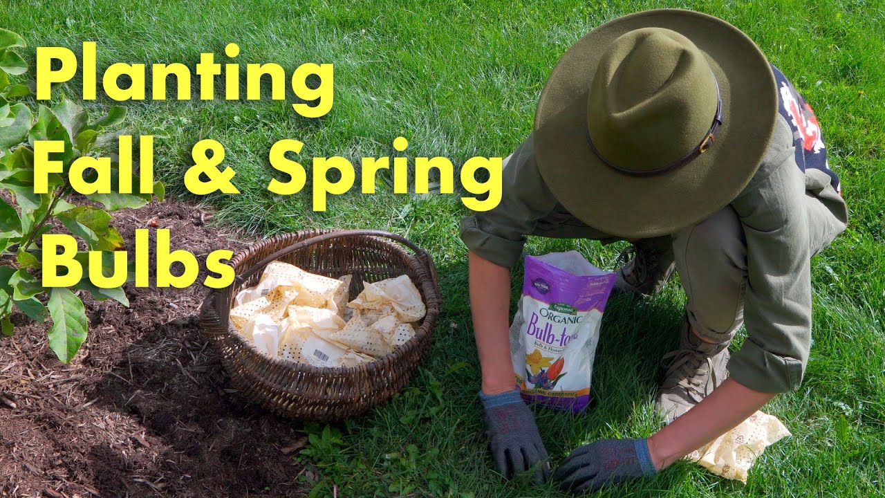 VIDEO: Planting Bulbs for Multi-Season Color with Flock Finger Lakes ...