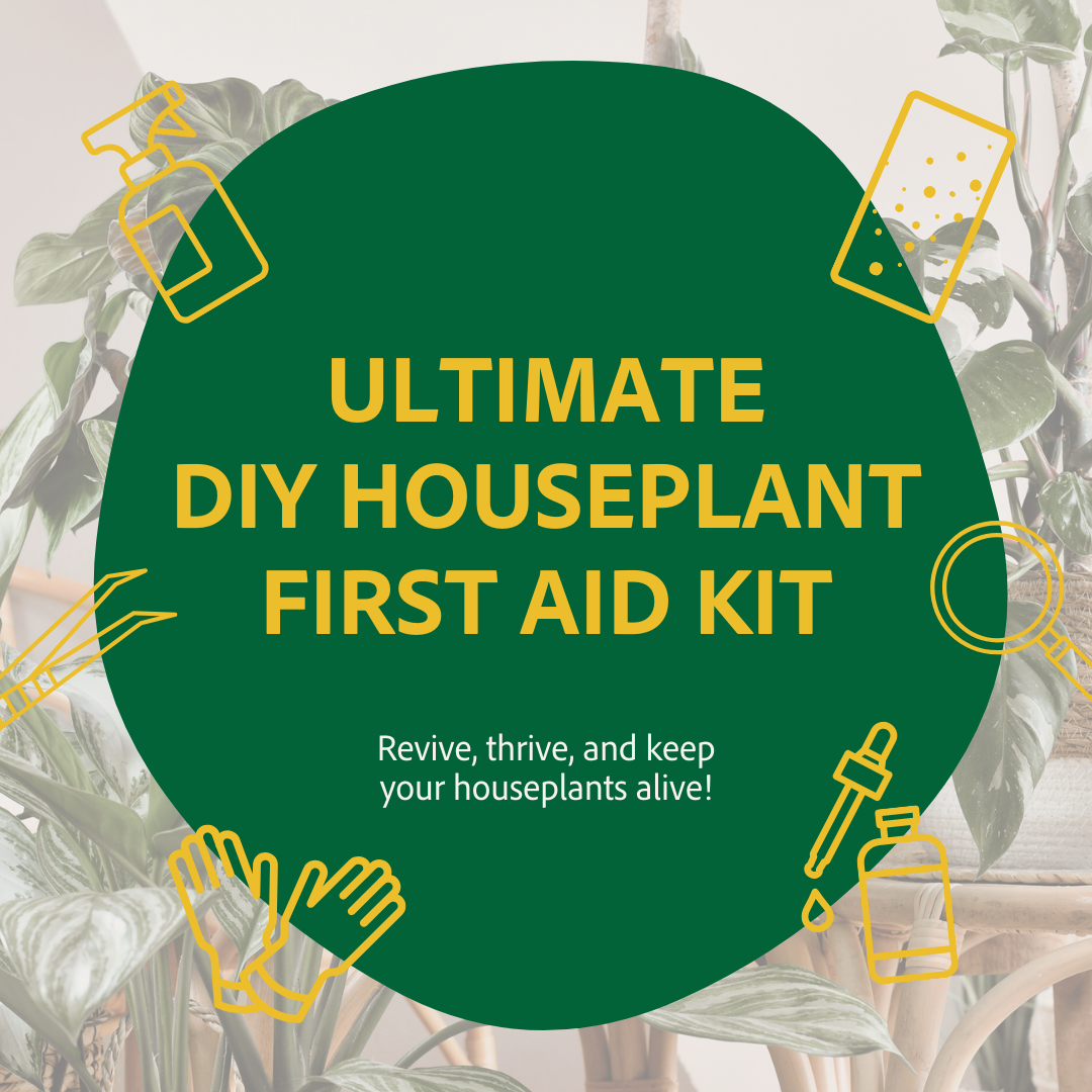 Indoor! Organic Fertilizer for Houseplants | Espoma Organic