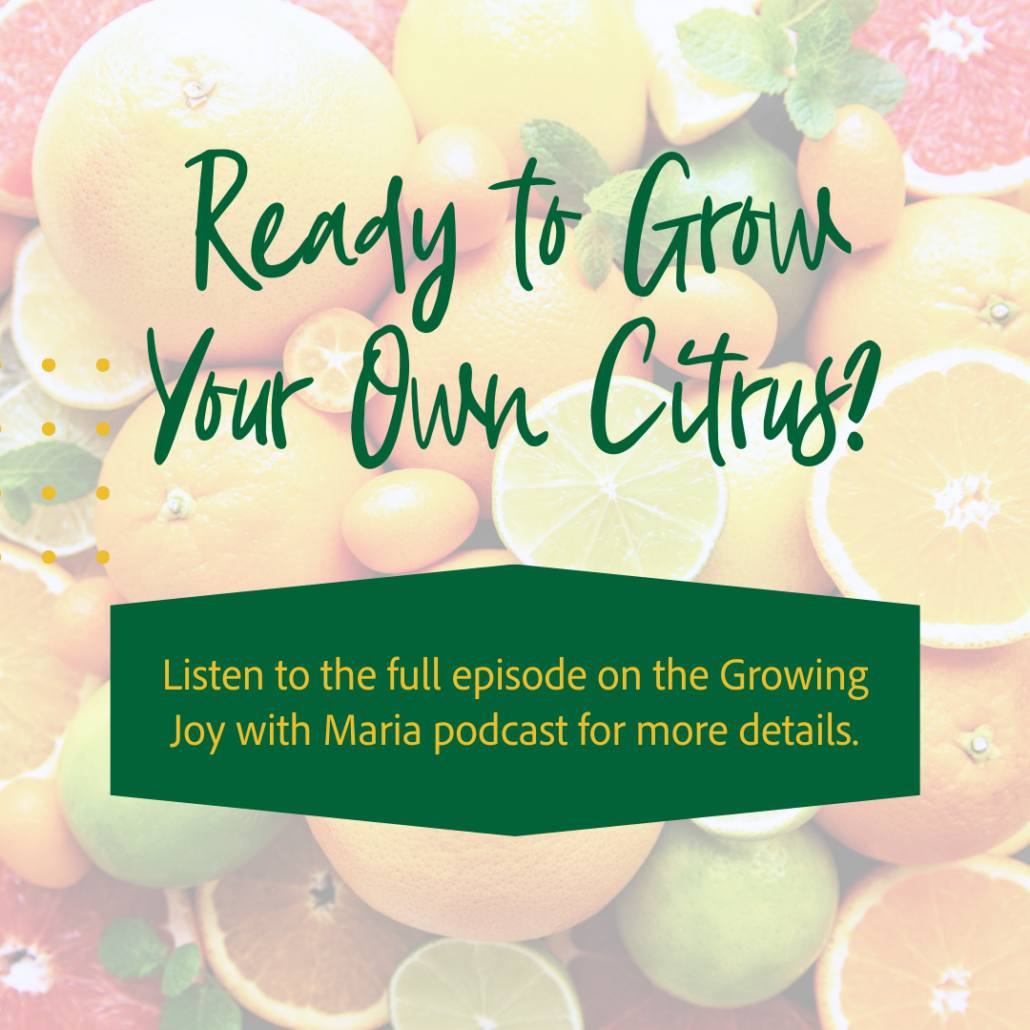 Growing Joy with Maria Blog – How to Grow Citrus Indoors ?? | Espoma ...