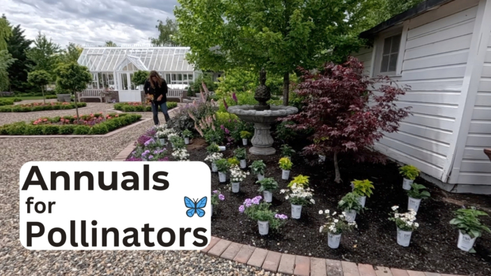 Espoma Organic Biotone Starter Plus Organic Fertilizer | Espoma