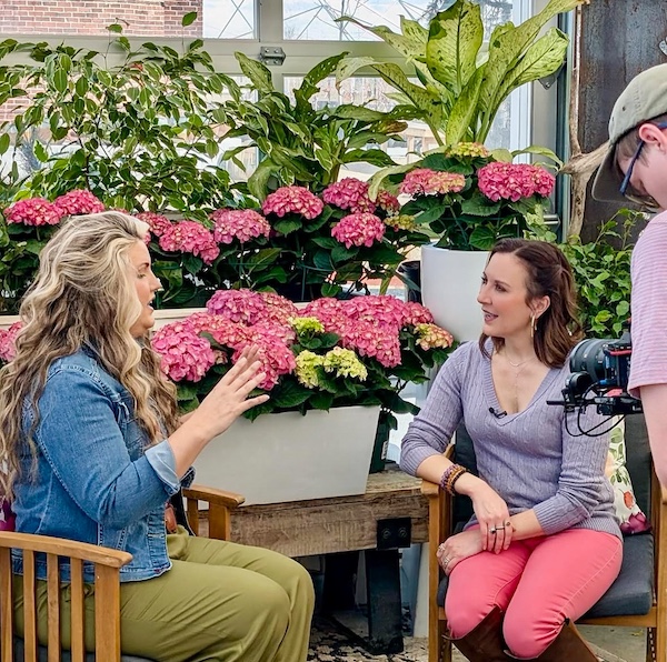 Meet The Hydrangea Queen: Skye Hamilton | Espoma Organic