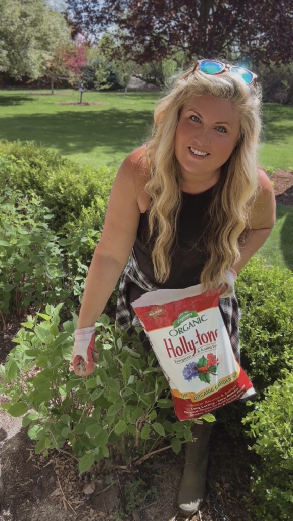 VIDEO: Boost Your Blooms: 🌸 Fertilizing Hydrangeas the Organic Way with ...