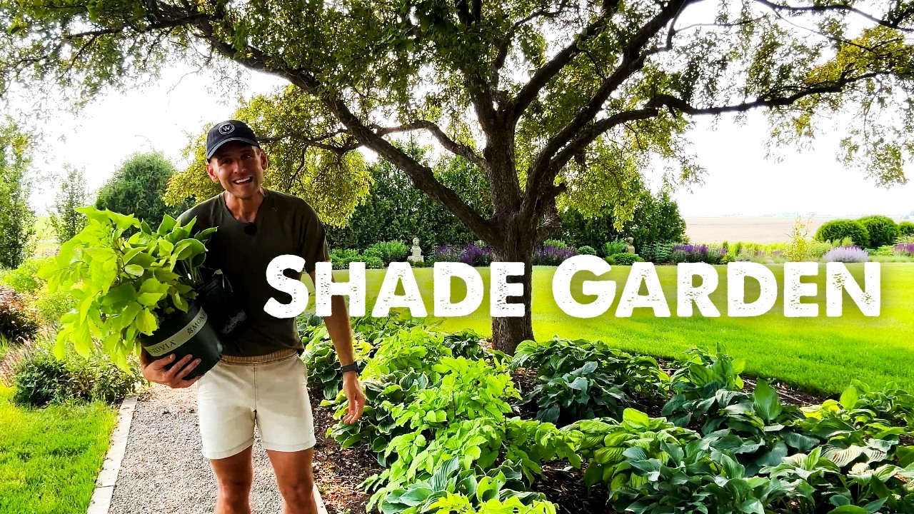 Espoma Organic Biotone Starter Plus Fertilizer | Espoma Organic